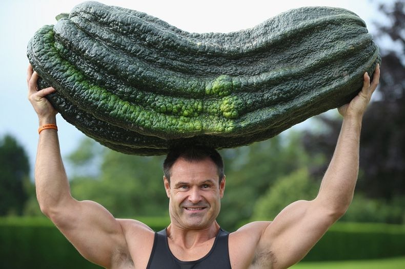Giant Vegetables At Harrogate Autumn Flower Show KNOWLEDGE UPDATES giant-vegetables-at-harrogate-autumn-flower-show-knowledge-updates
